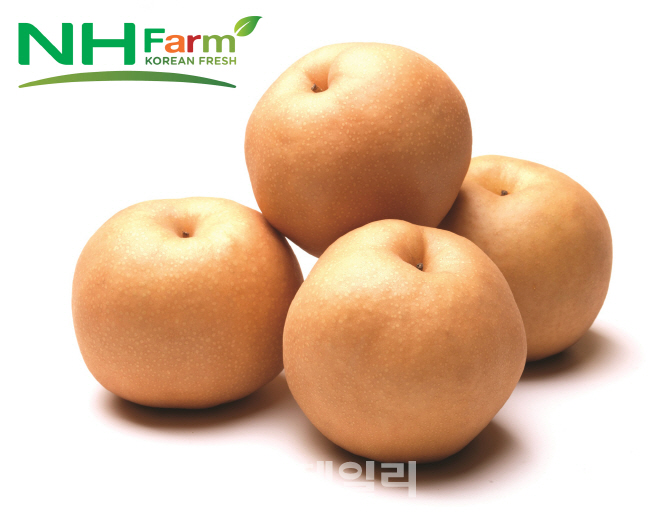 [포토] 농협, 한국산 배 미국 수출확대를 위한 프로모션 추진
